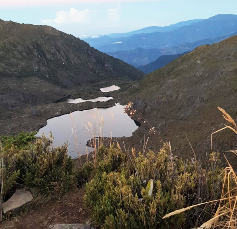 Parque Nacional Chirripó – DISFRUTA CARTAGO
