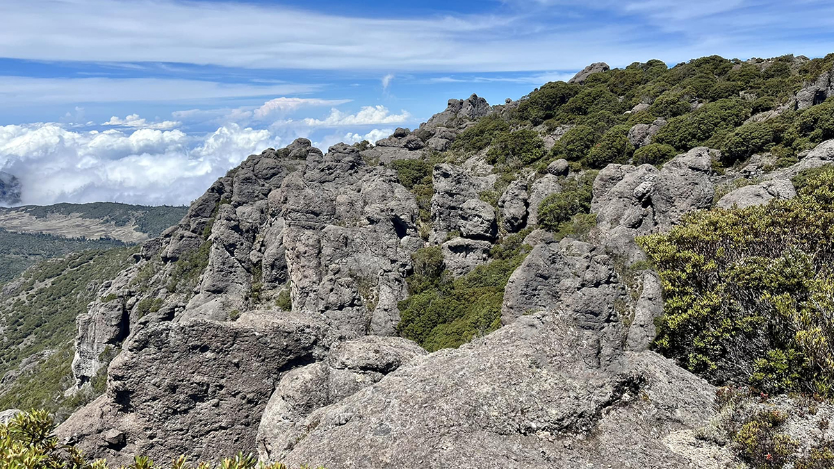 Parque Nacional Chirripó – DISFRUTA CARTAGO