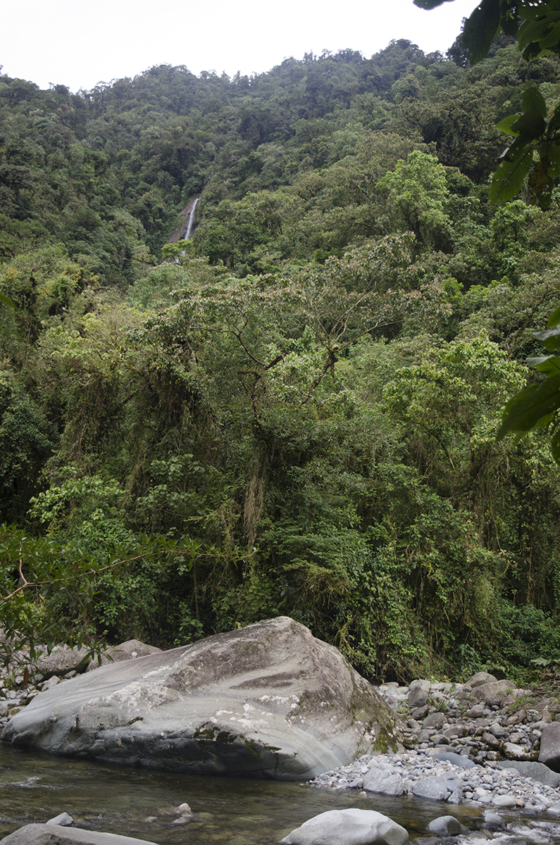 PARQUE NACIONAL TAPANTÍ – DISFRUTA CARTAGO