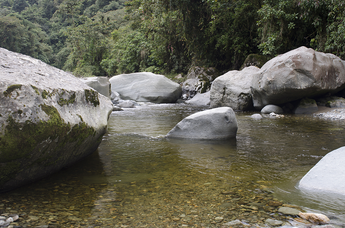 PARQUE NACIONAL TAPANTÍ – DISFRUTA CARTAGO